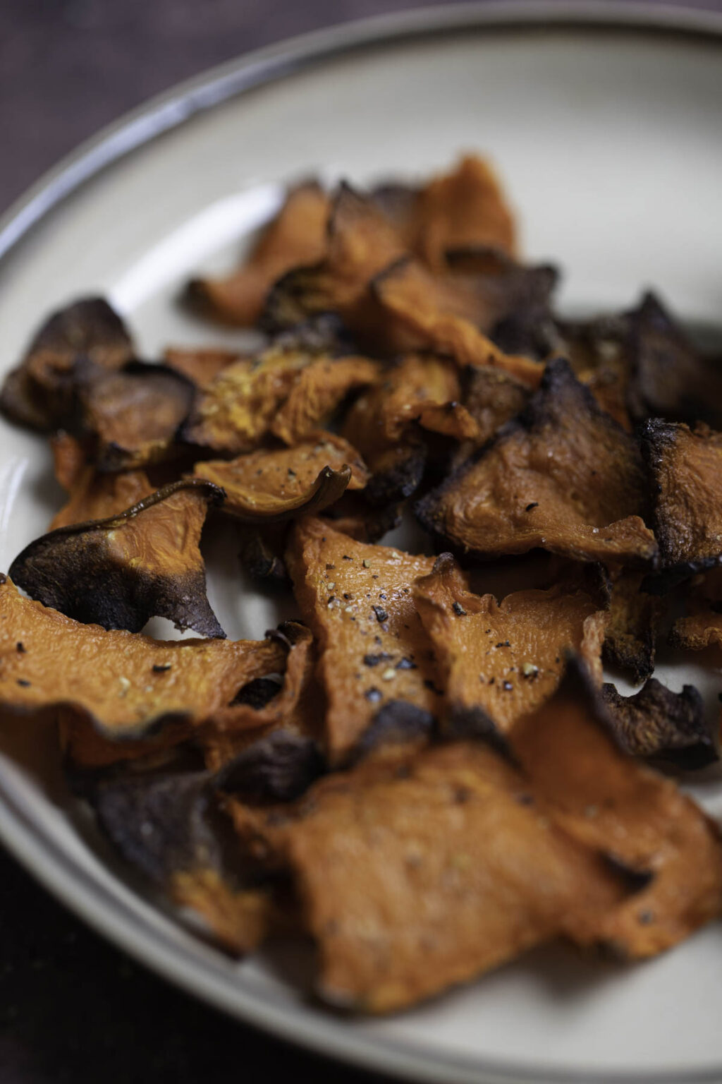 Baked Pumpkin Chips - Fat Rainbow